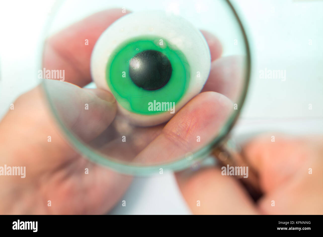 Examination a silicone replica of an eye with magnifying glass Stock ...