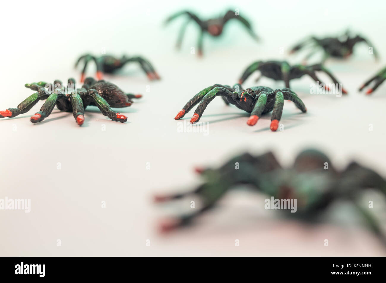 Many toy plastic spiders on white backdrop Stock Photo - Alamy