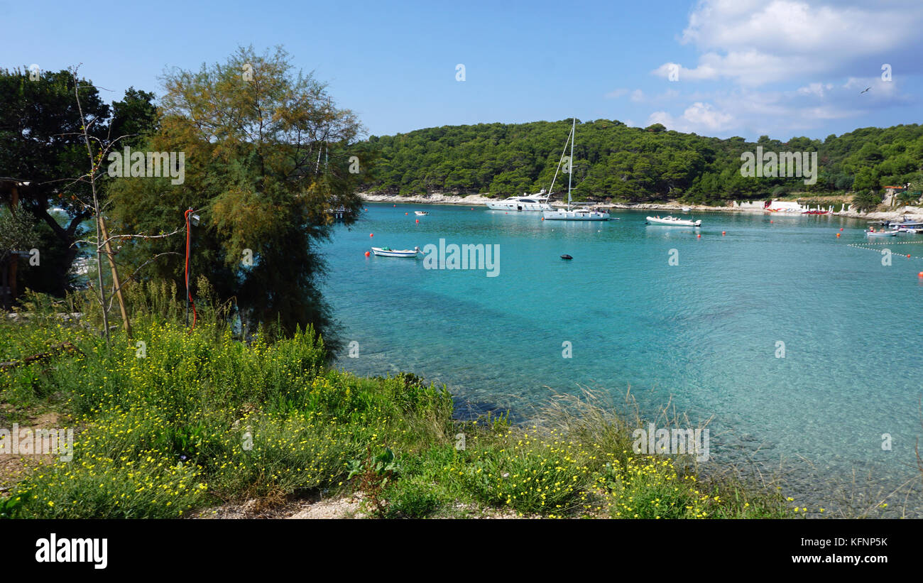 amazing natural town palmizana on hvar in croatia Stock Photo - Alamy