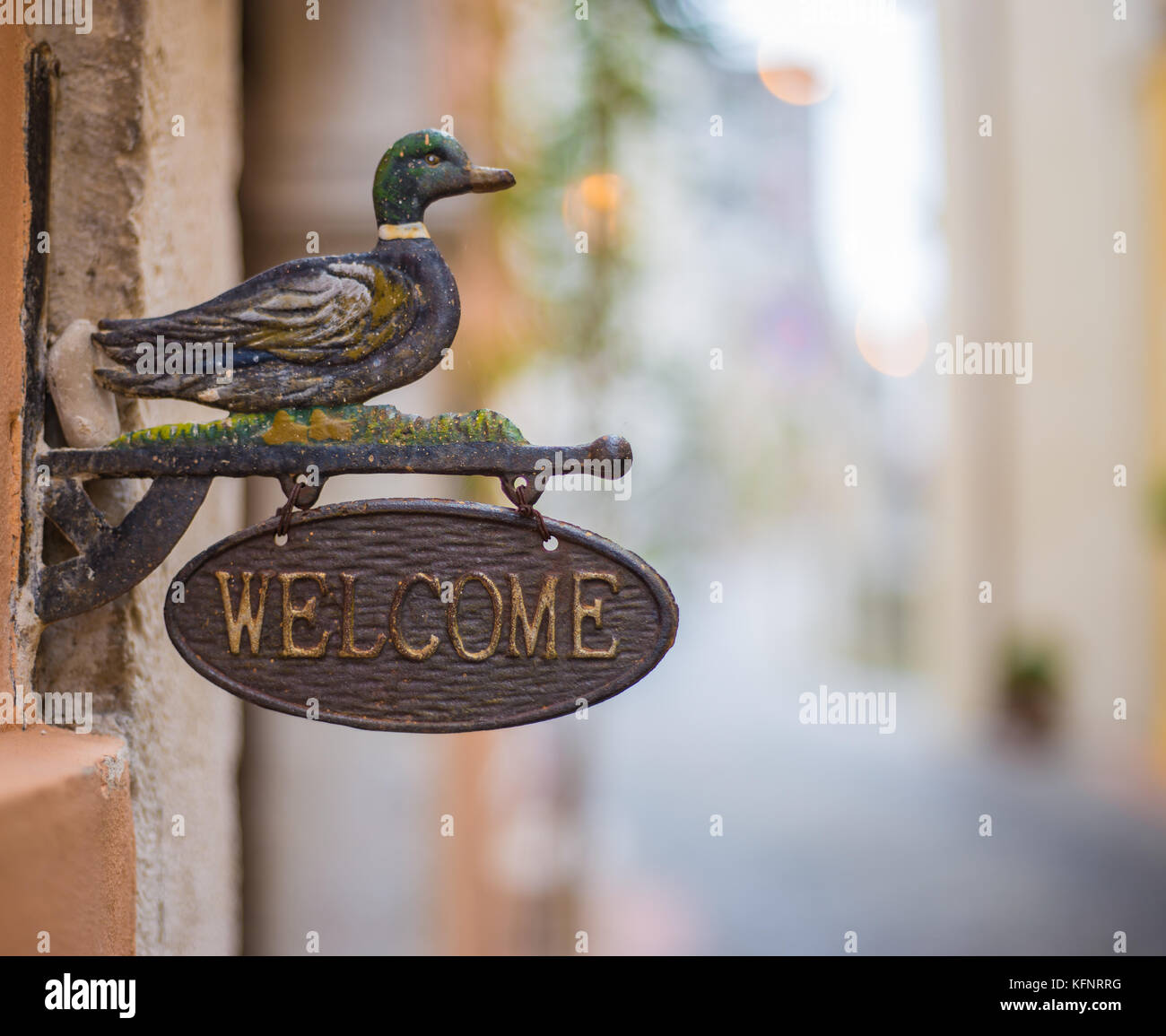 Duck written hi-res stock photography and images - Alamy