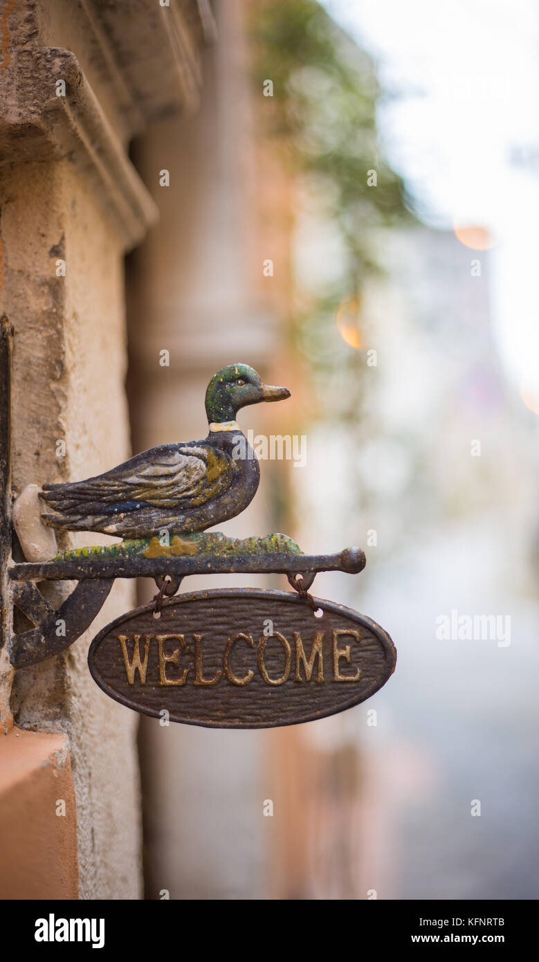 Duck written hi-res stock photography and images - Alamy