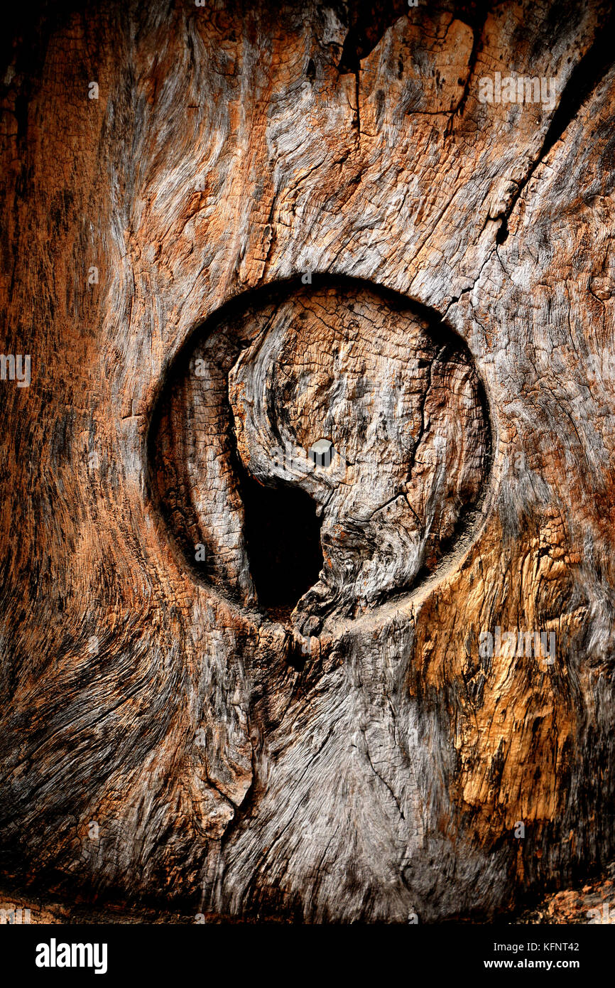 an old plank with beautiful texture was pierce in round shape Stock ...
