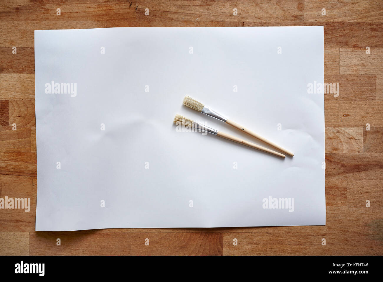 two paintbrushes on blank canvas Stock Photo - Alamy