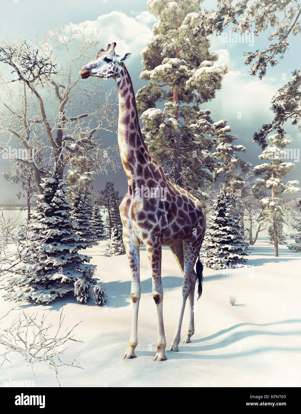 giraffe in the winter forest. 3d render elements and photo mixed Stock ...