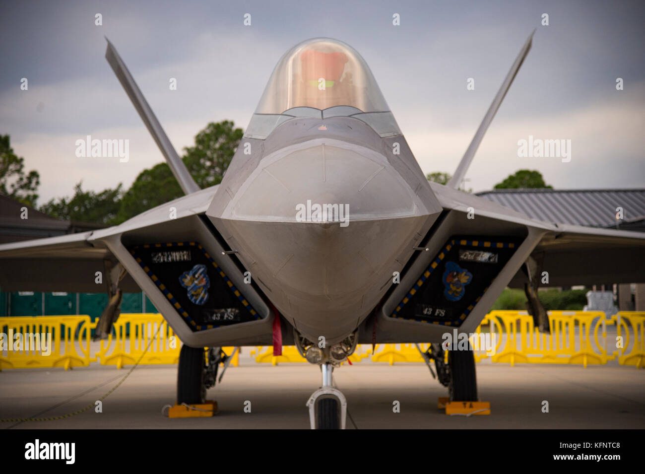 Georgia raptor hi-res stock photography and images - Alamy