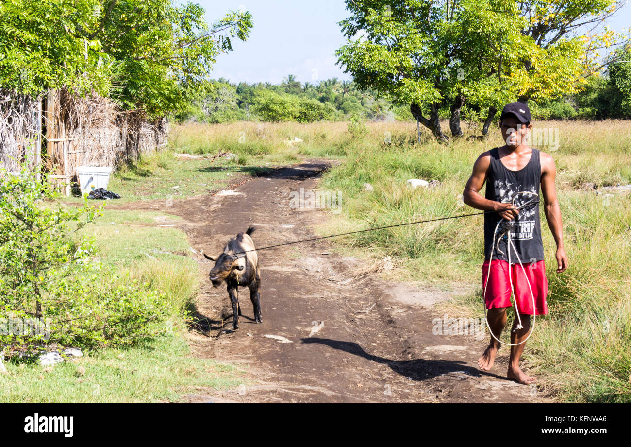 Goat man hi-res stock photography and images - Alamy