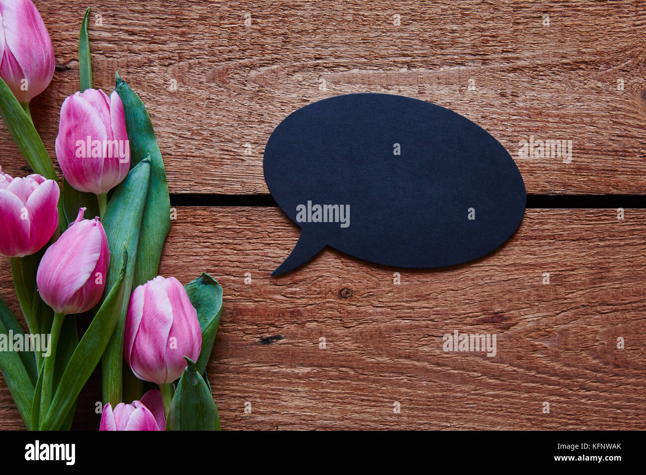 communication in spring speech bubble and pink tulips Stock Photo - Alamy