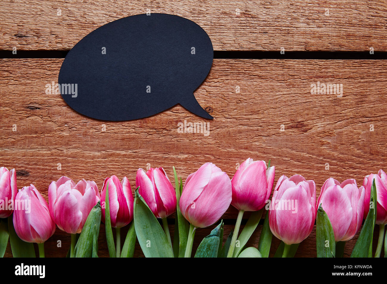 spring message speech bubble and fresh tulips on wood Stock Photo - Alamy