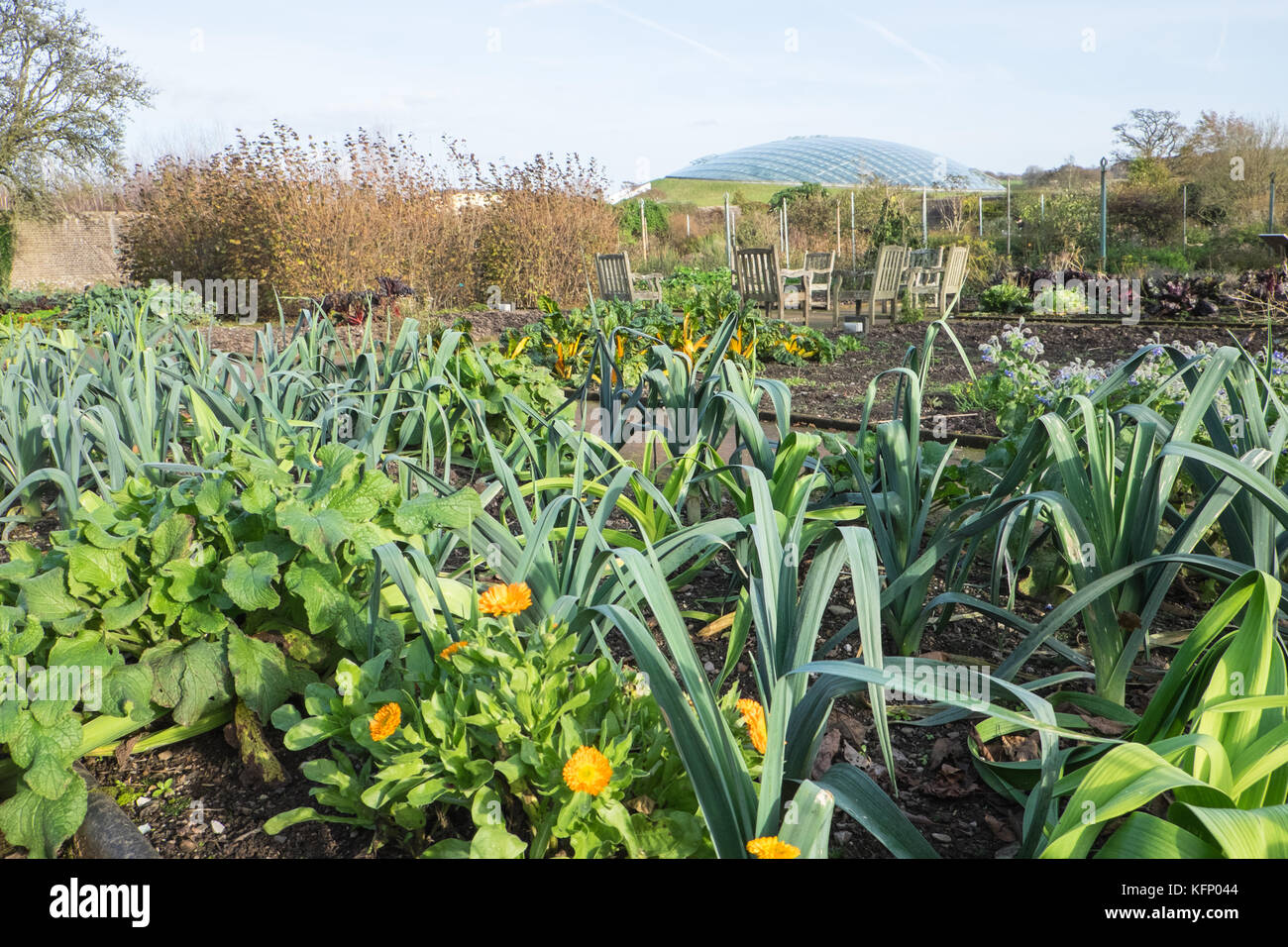 Vegetable, Gardens, Double Walled, Garden,at,grounds,of,National ...