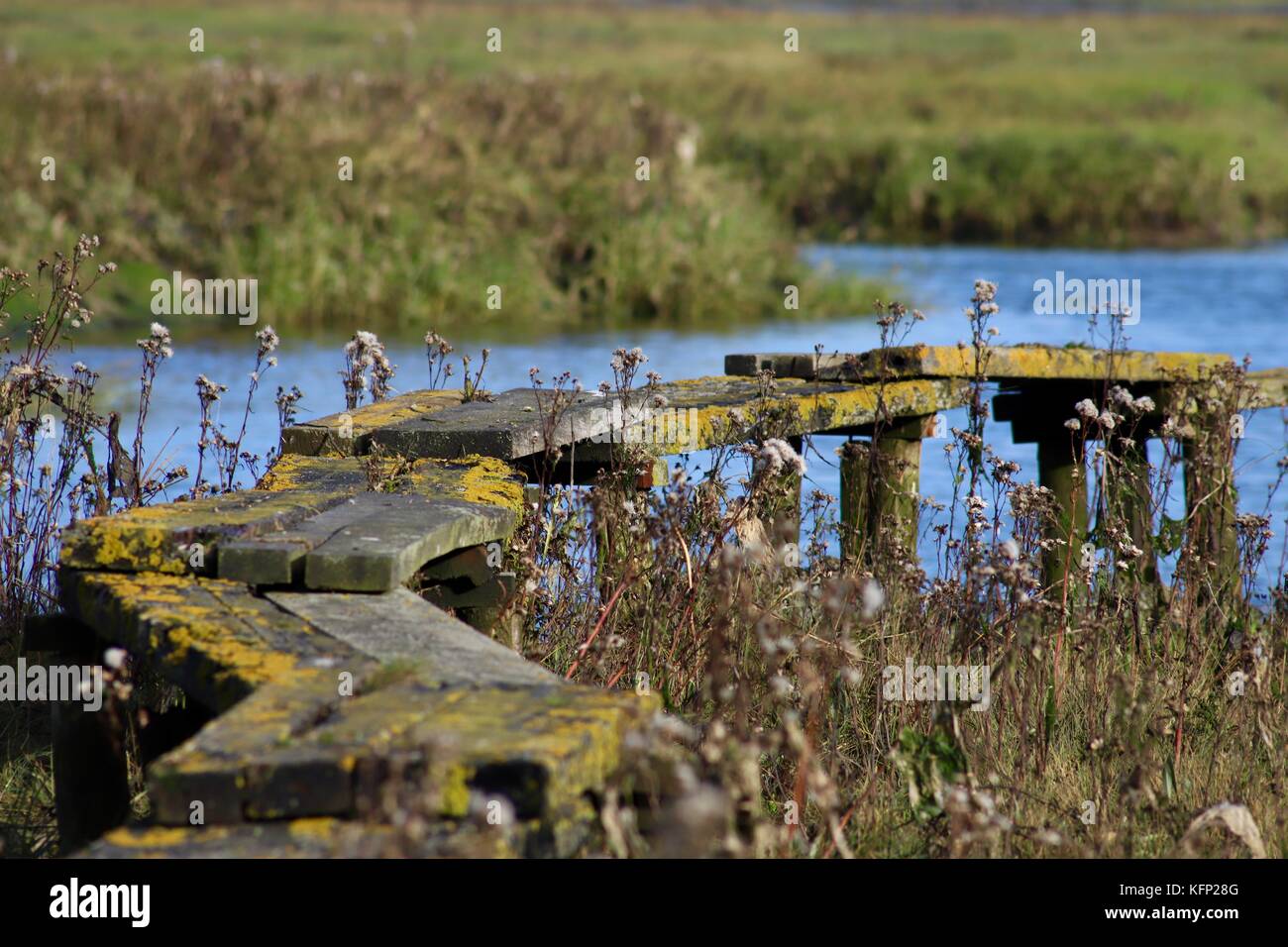 A rickety dangerous home made bridge across the saltmarsh by the River ...