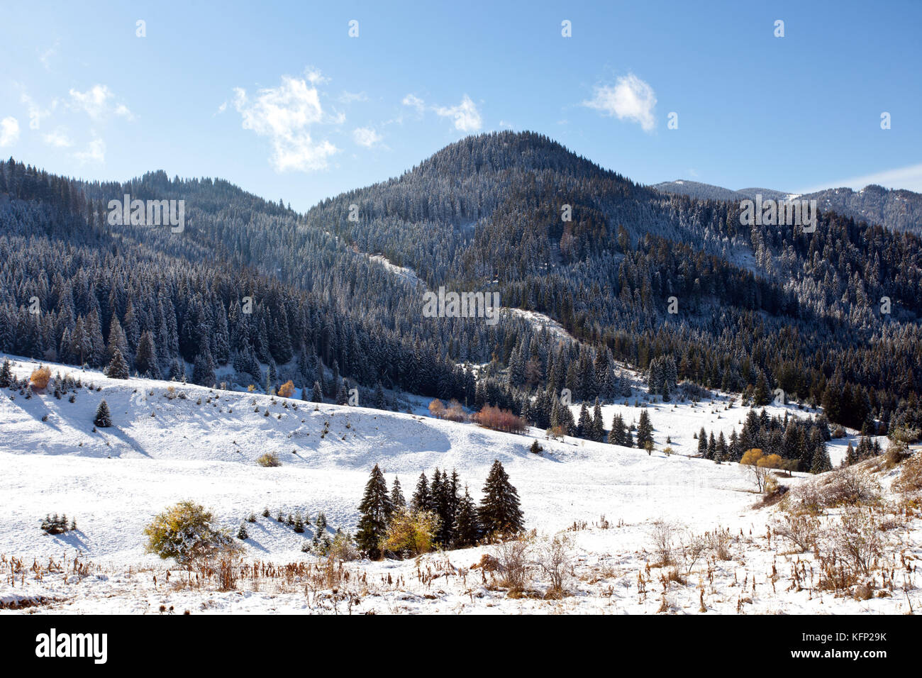 Rhodope Mountain, Bulgaria Stock Photo - Alamy