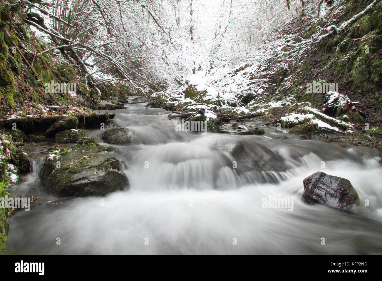 Stream in winter Stock Photo - Alamy