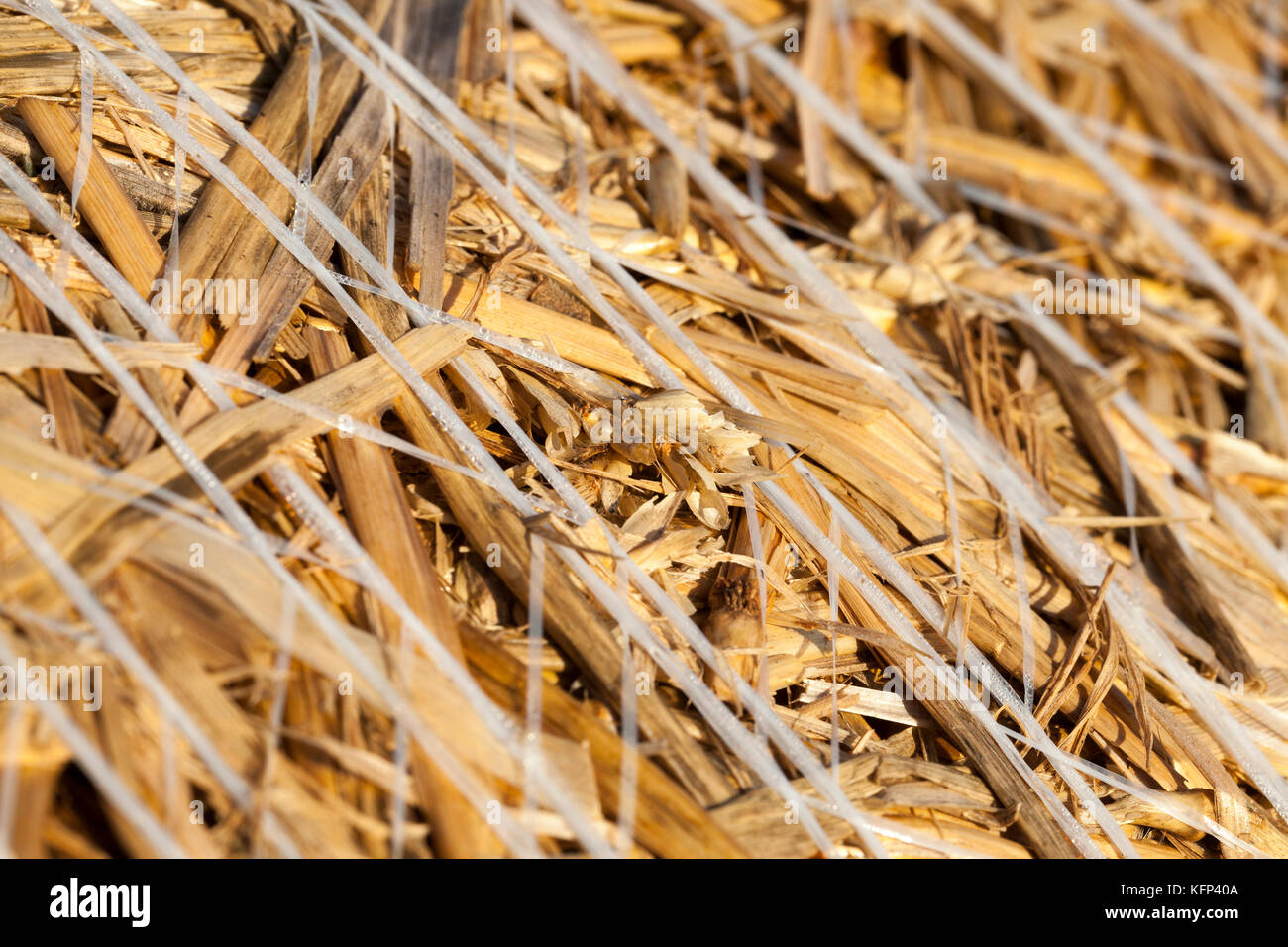 Straw string texture hi-res stock photography and images - Alamy
