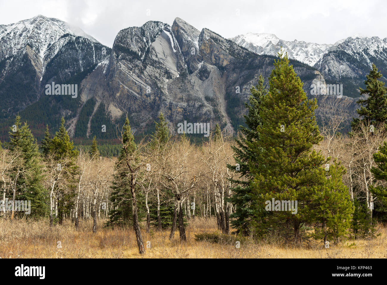 Fall in Jasper Stock Photo - Alamy