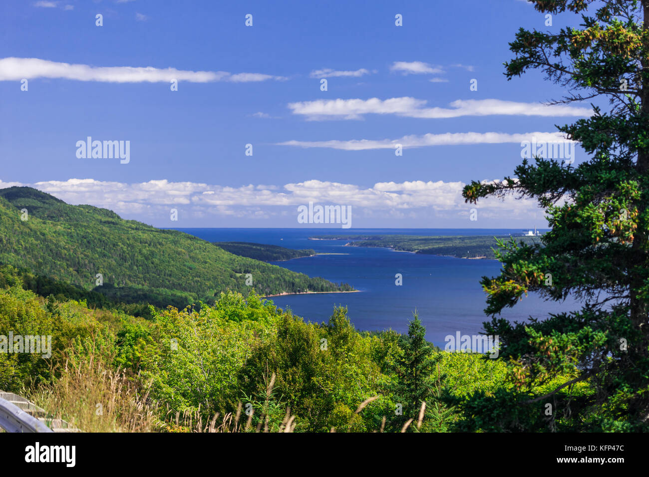 Breton landscape trees hi-res stock photography and images - Alamy