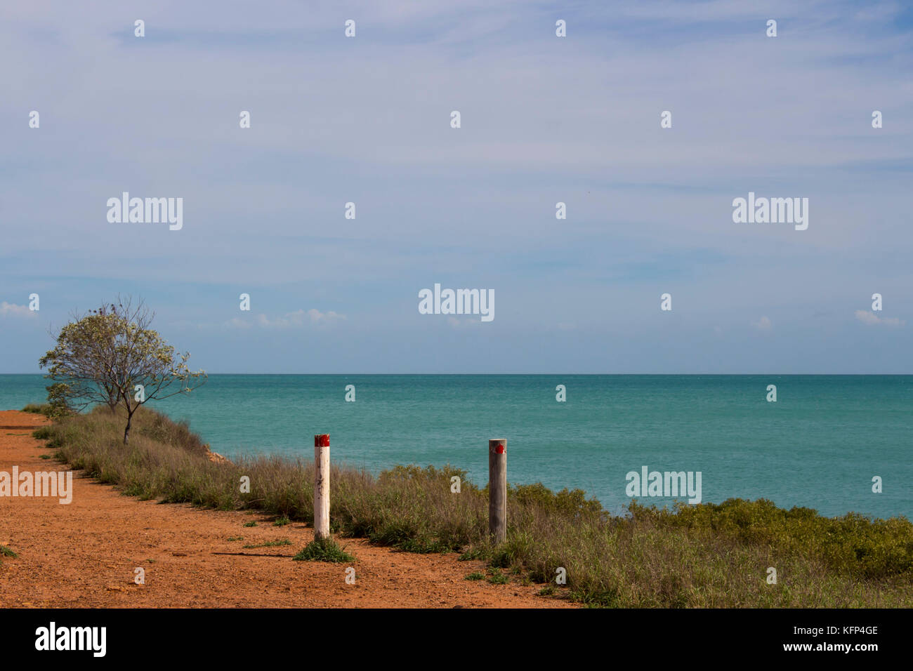 Mangroves broome mangrove hi-res stock photography and images - Alamy