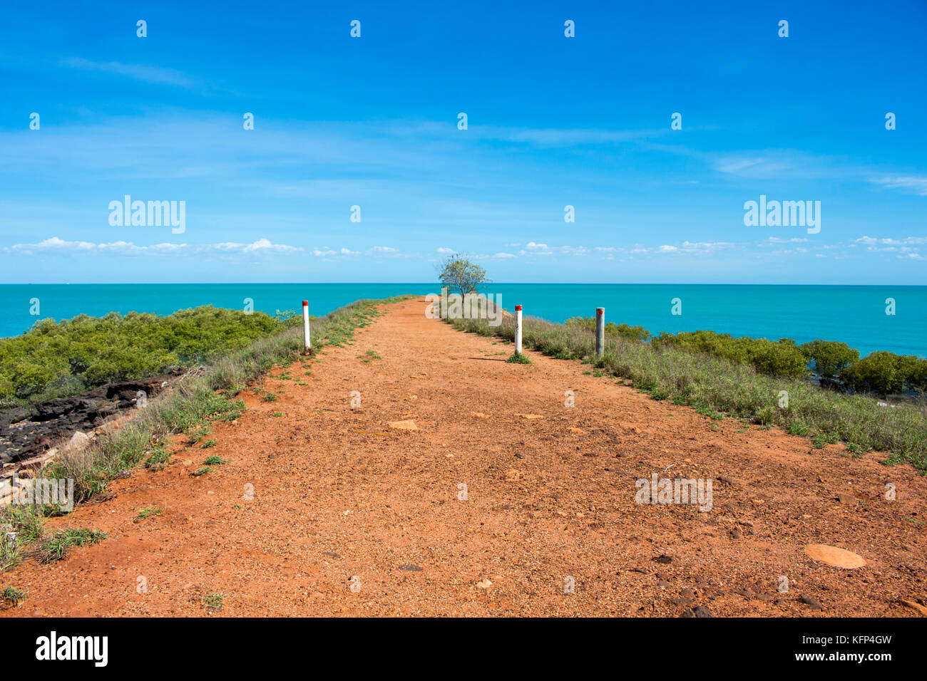 Mangroves broome mangrove hi-res stock photography and images - Alamy