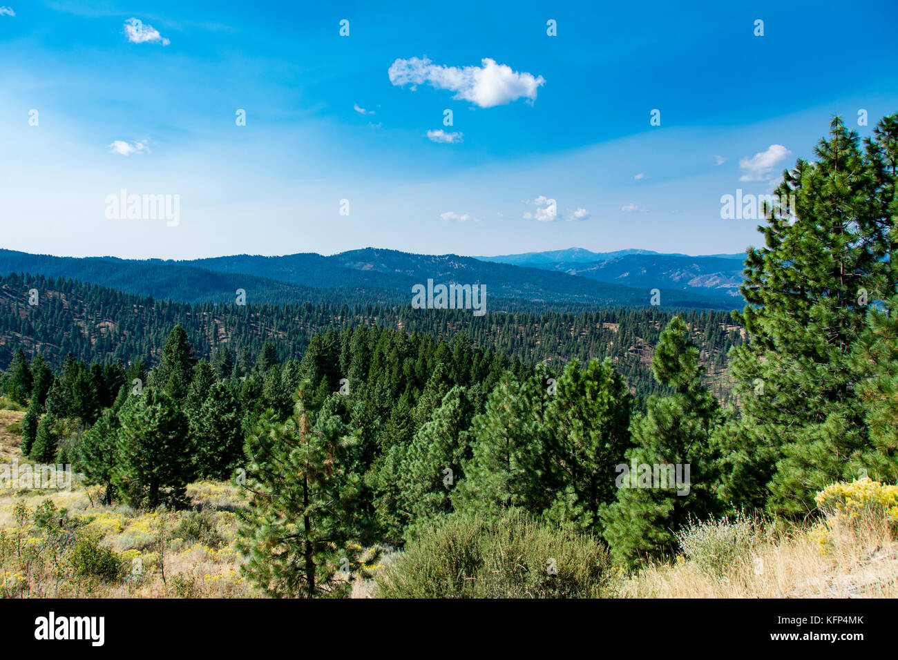 Boise national forest hi-res stock photography and images - Alamy