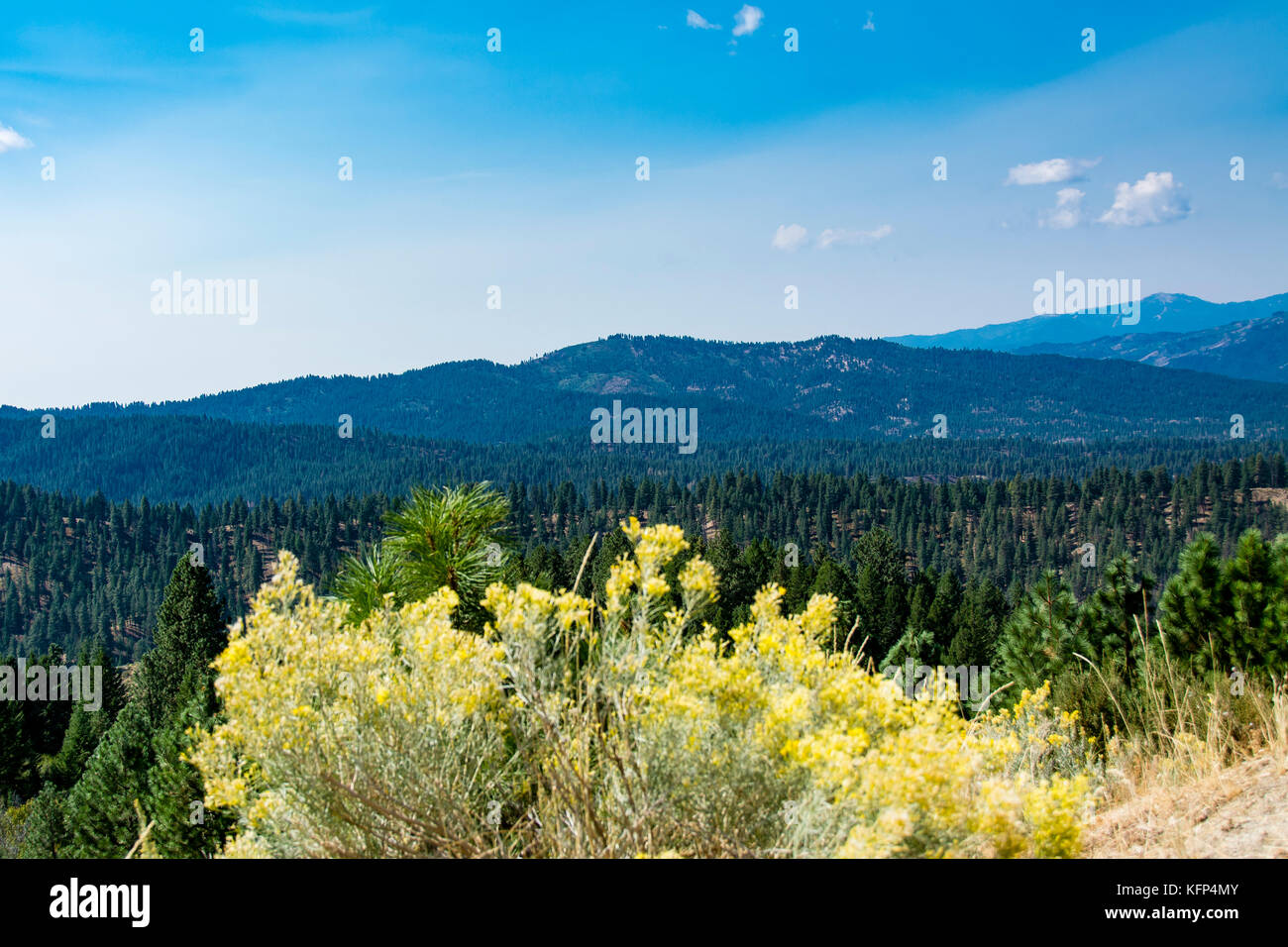 Boise national forest hi-res stock photography and images - Alamy