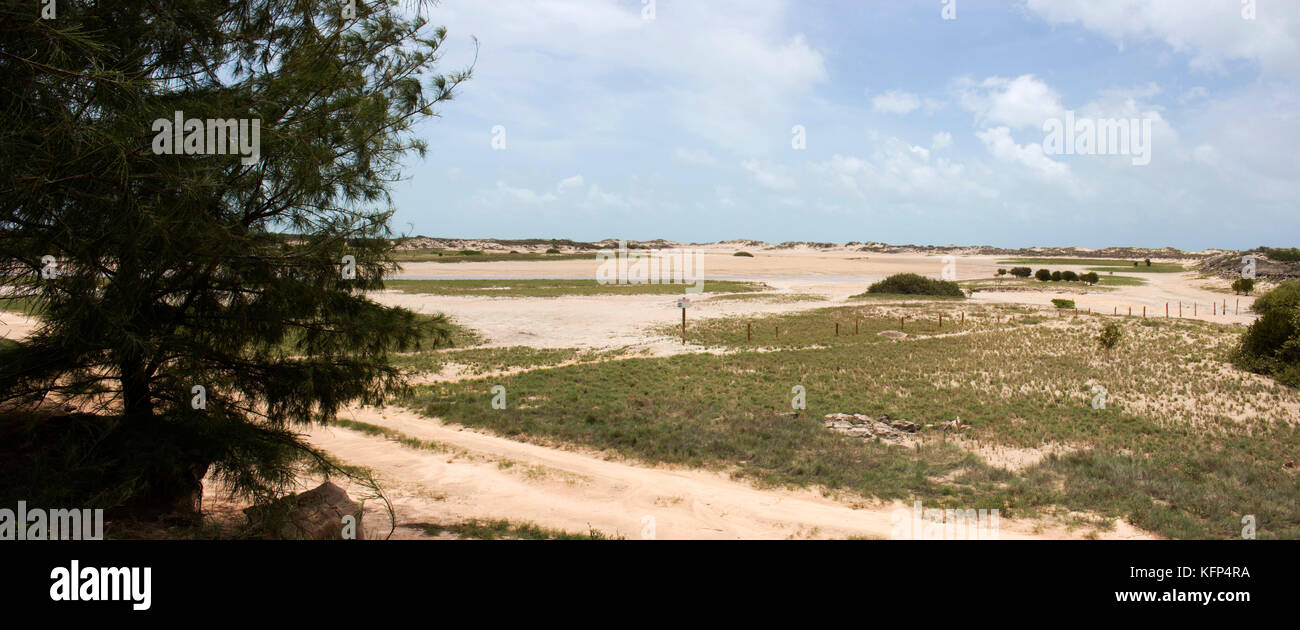 Tropical landscape at Coconut Wells north of Broome , North Western ...