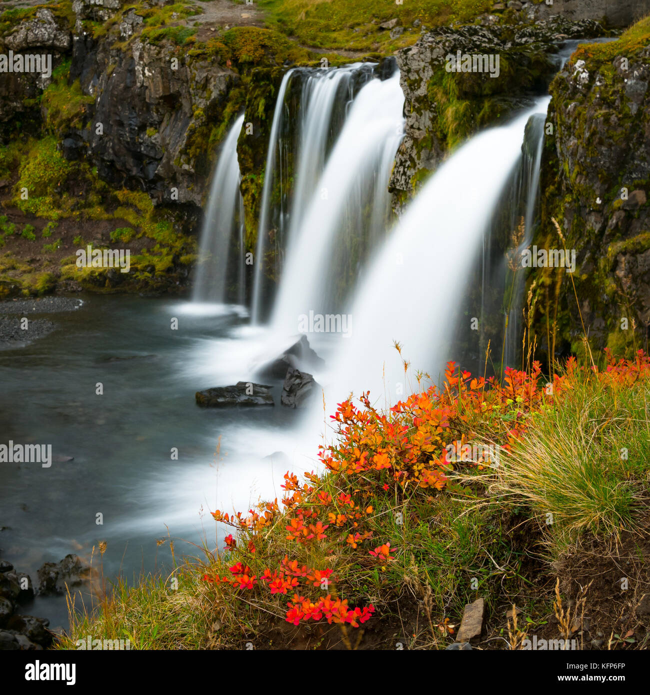 Rock of falling flowers hi-res stock photography and images - Alamy