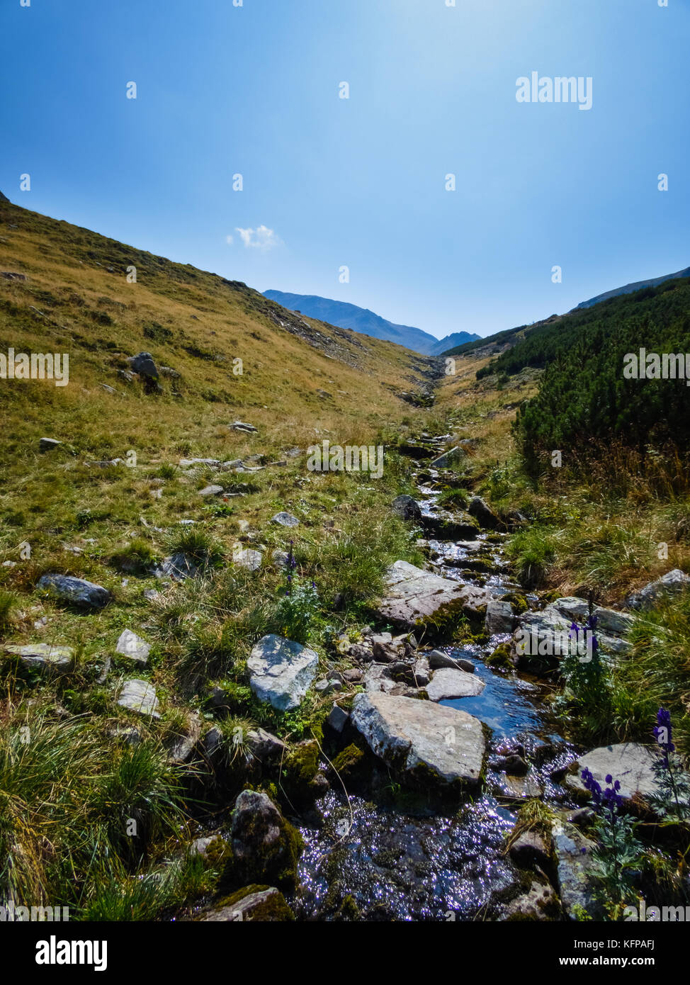 Head-spring with very cold water high in the Mountains Stock Photo - Alamy