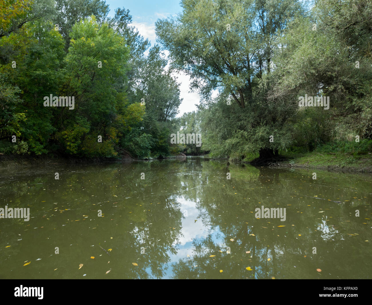 Untouched ecosystem hi-res stock photography and images - Alamy