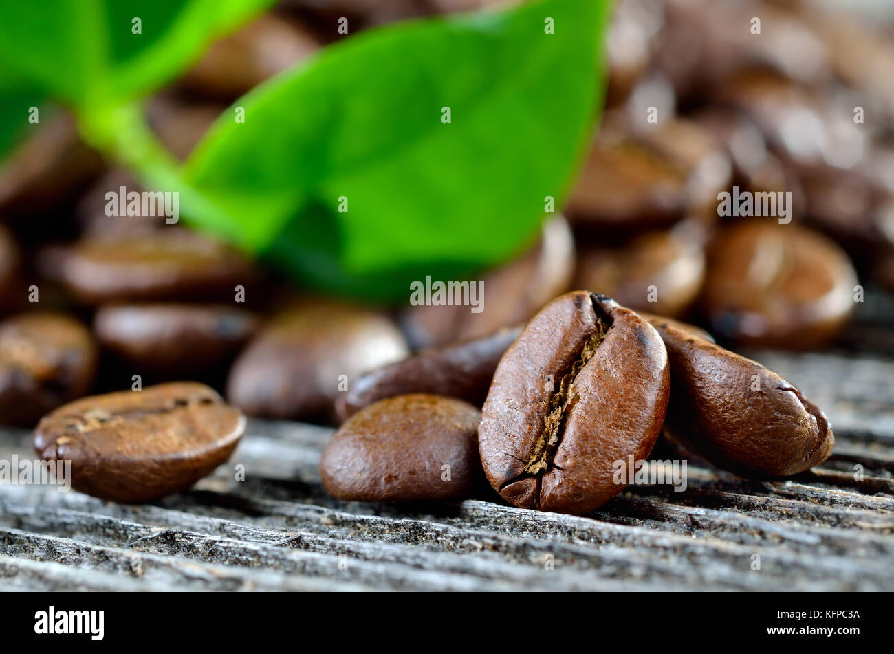 Roasted coffee beans with leaves of a coffee plant Stock Photo - Alamy