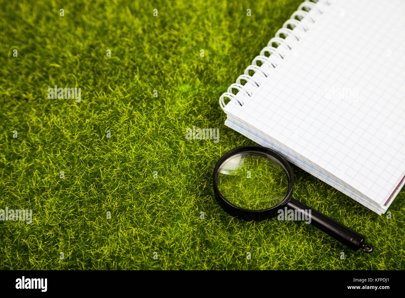 Magnifier plant hi-res stock photography and images - Alamy