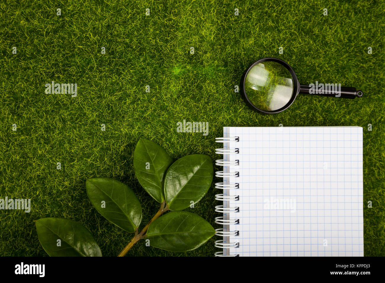 Magnifying lens plant hi-res stock photography and images - Alamy