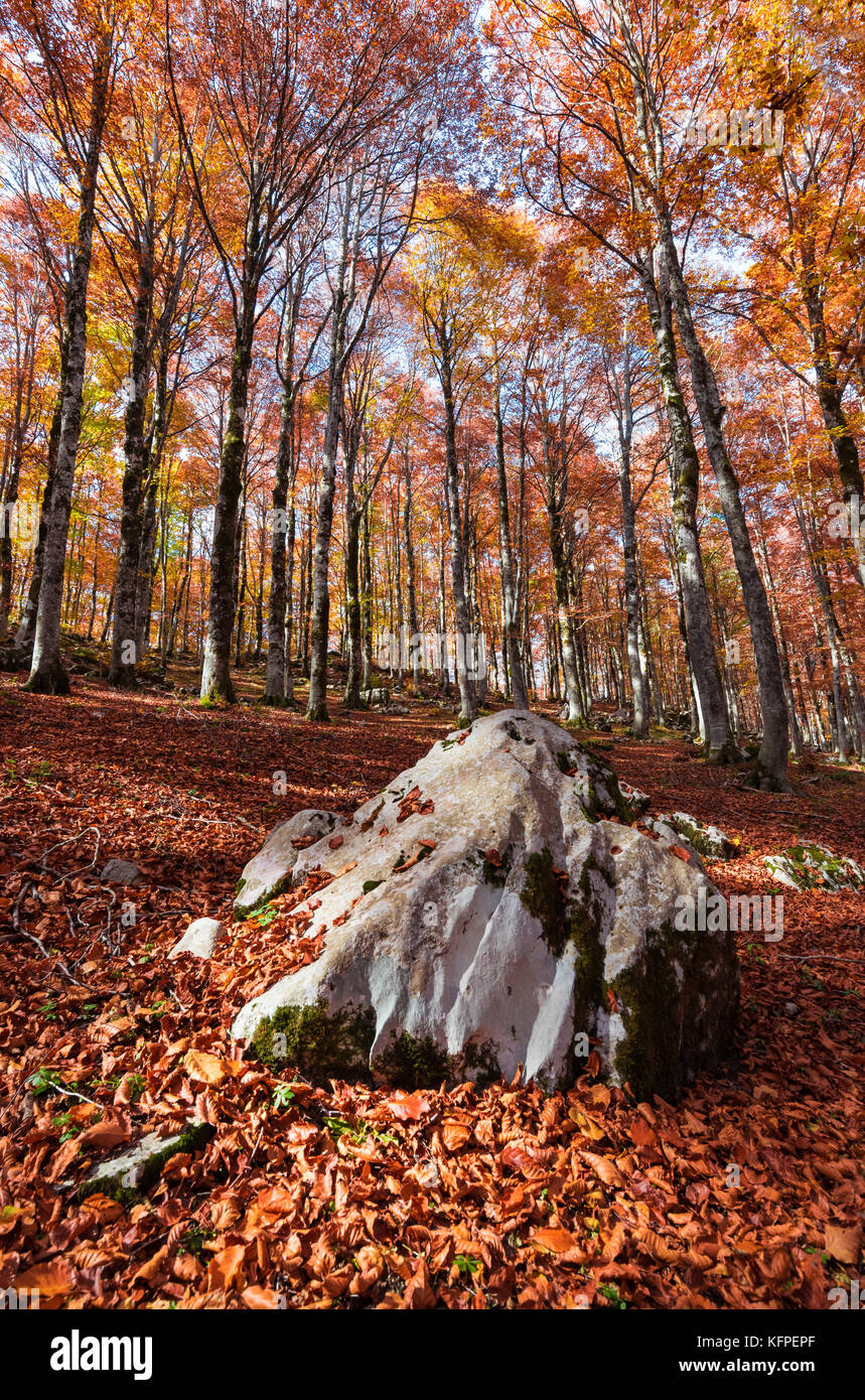 National Park of Abruzzo, Lazio and Molise (Italy) - The autumn with ...