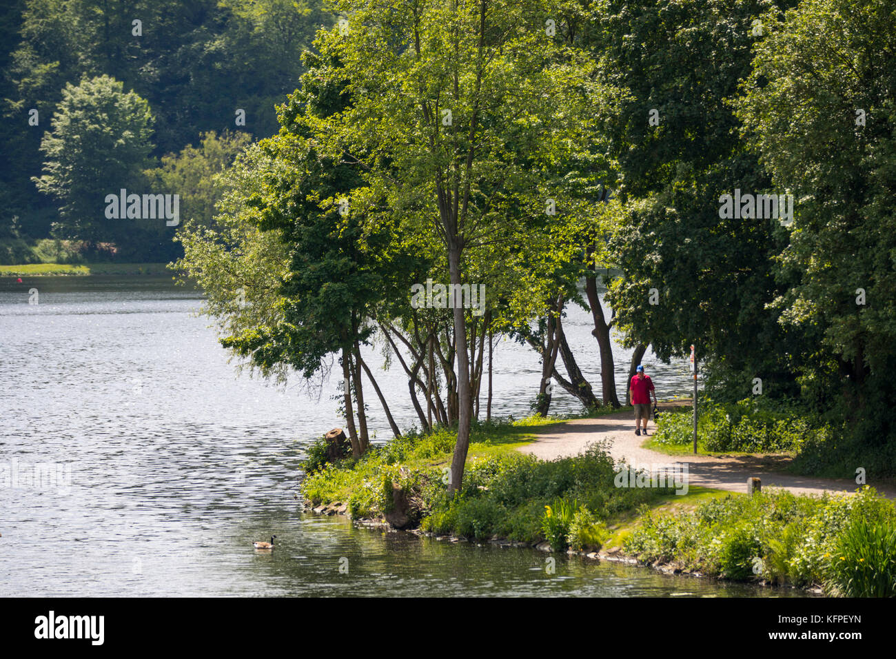 View over lake Baldeney, Essen, Germany, a reservoir of river Ruhr ...
