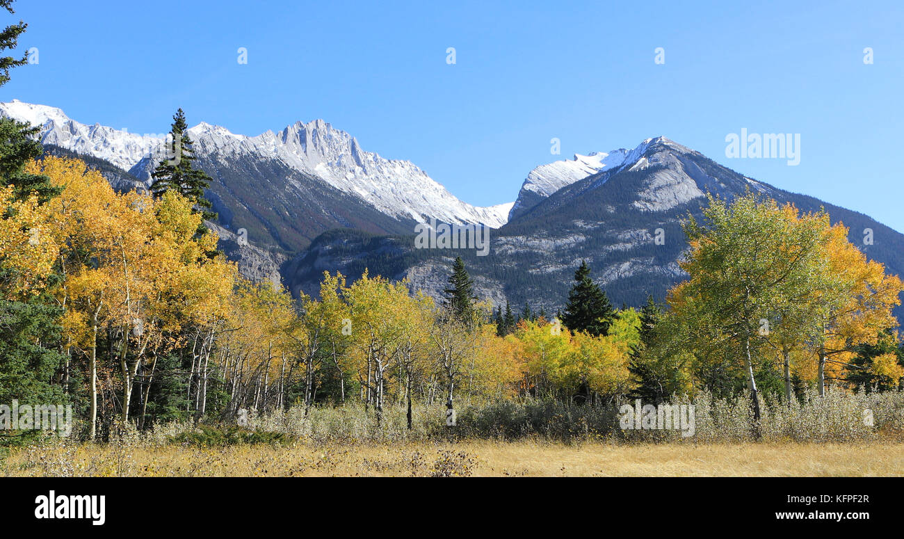 A View of Rocky Mountain with golden aspens Stock Photo - Alamy
