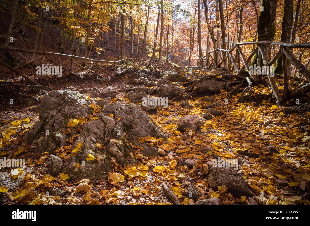 National Park of Abruzzo, Lazio and Molise (Italy) - The autumn with ...