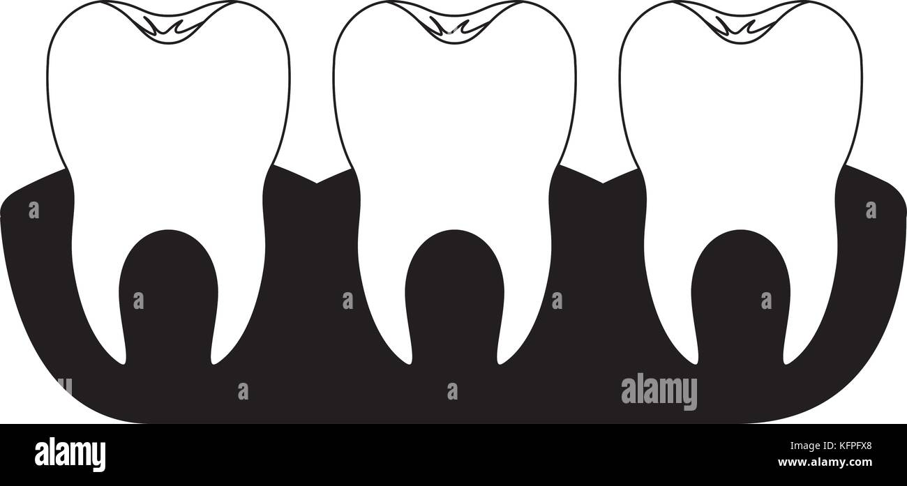 teeth with tooth root view in black silhouette Stock Vector Image & Art ...