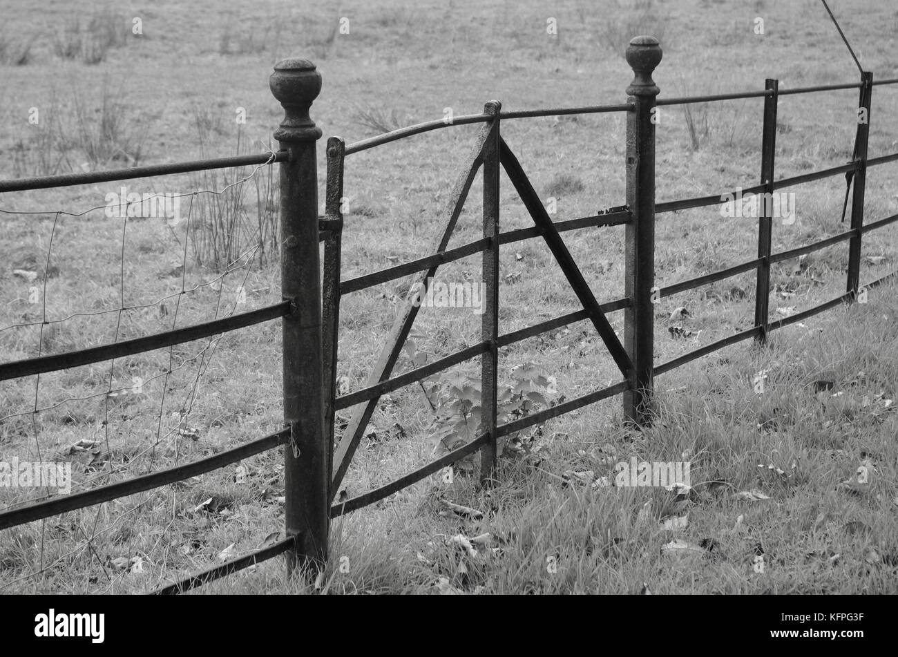 Old iron fencing Stock Photo - Alamy