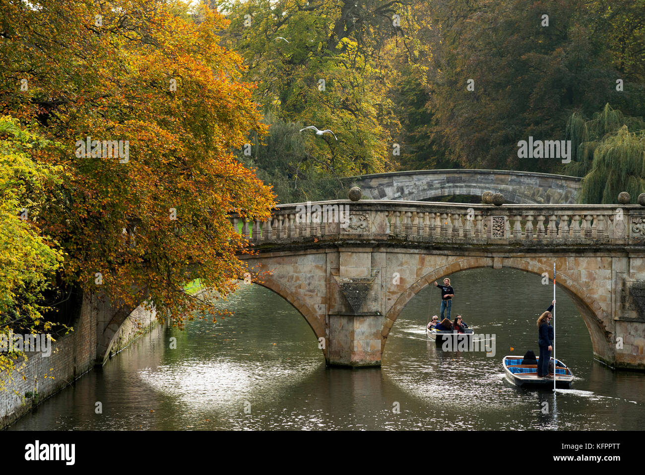 Cambridge, UK. 31st Oct, 2017. Autumn colours on the River Cam in the ...