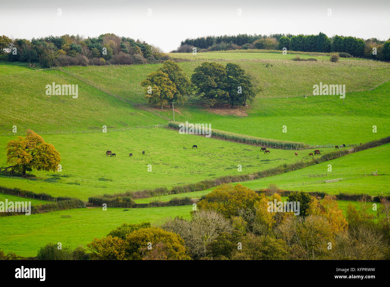 Godalming north hi-res stock photography and images - Alamy