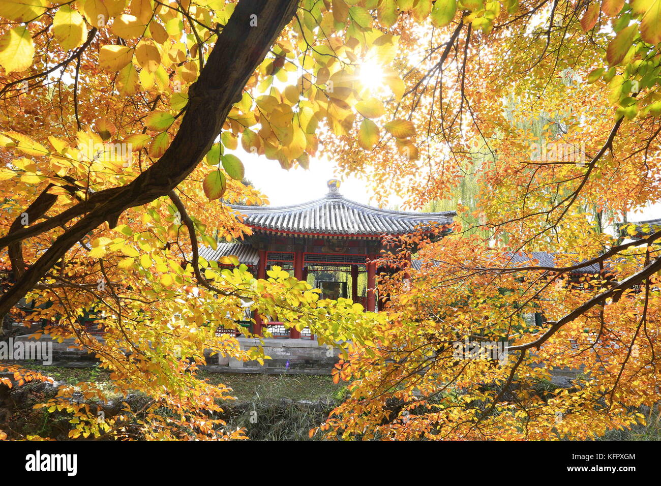 Beijing, Beijing, China. 1st Nov, 2017. Beijing, CHINA-31st October ...