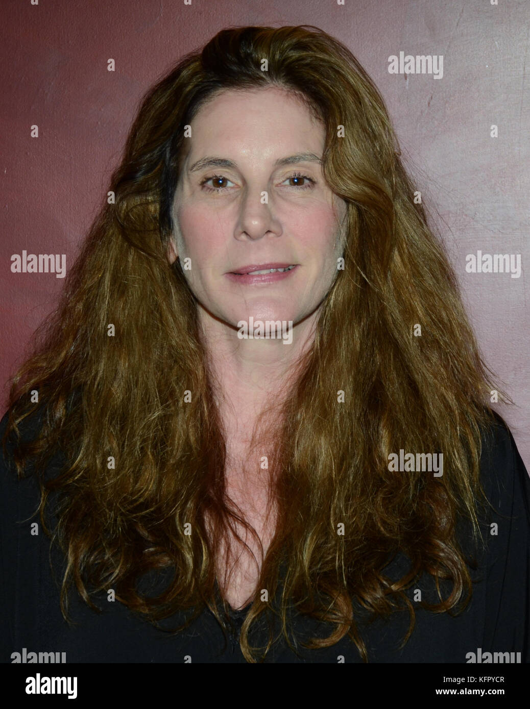 Hollywood, USA. 31st Oct, 2017. Amy Williams attends a private ...