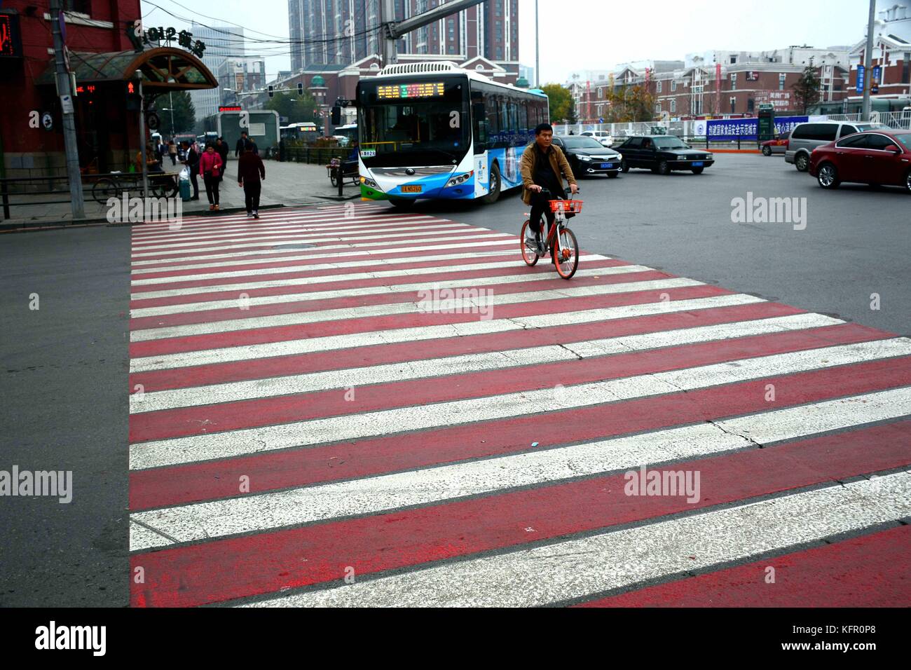 Shenyang, Shenyang, China. 31st Oct, 2017. Sheyang, CHINA-31st October ...