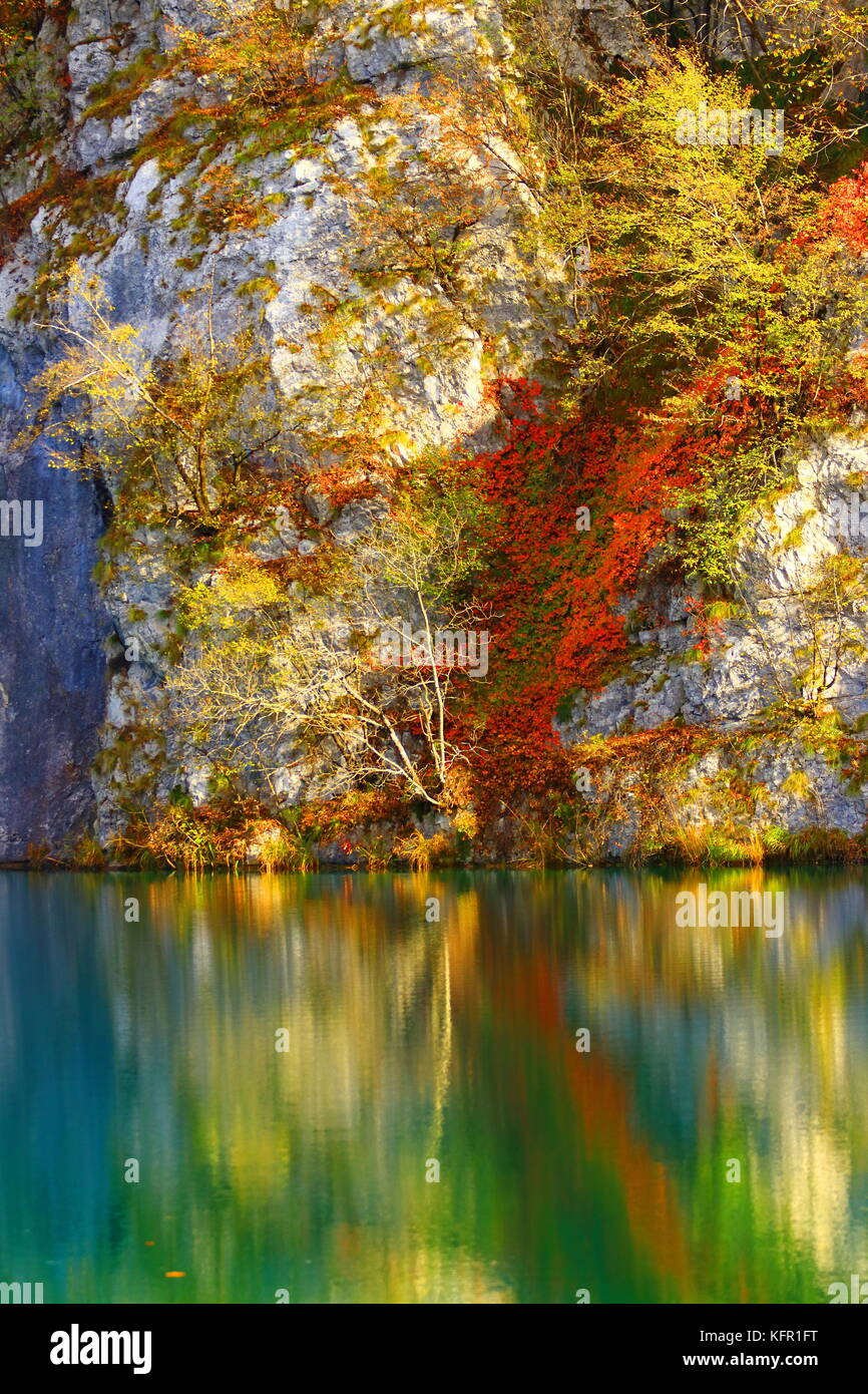 Colors of nature, fall in National park Plitvice lakes, Croatia Stock ...