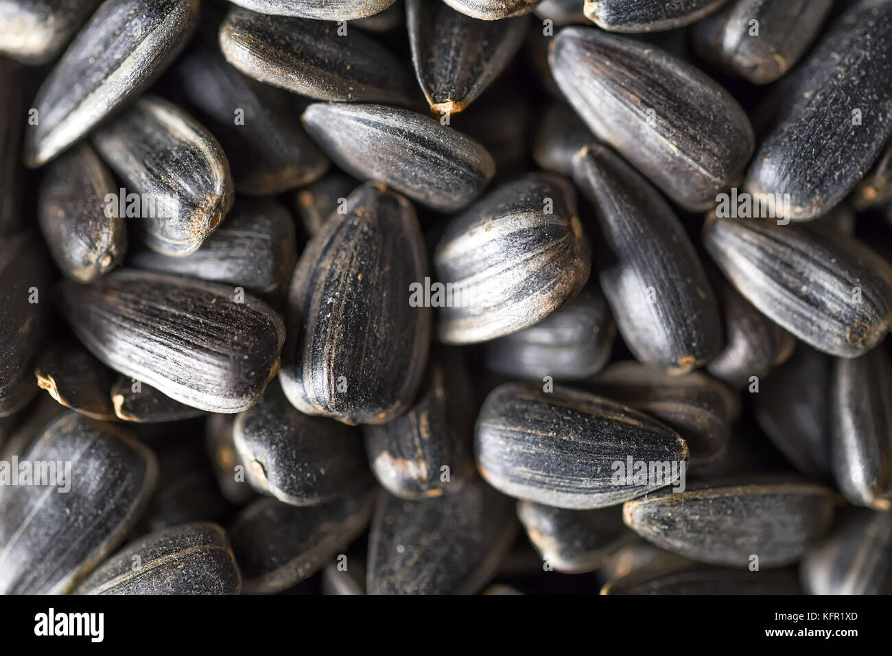 Close-up texture made of natural sunflower seeds for background Stock ...