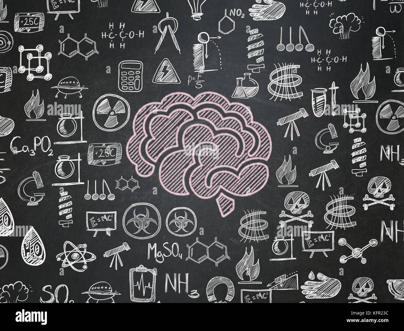 Scientific Background Brain