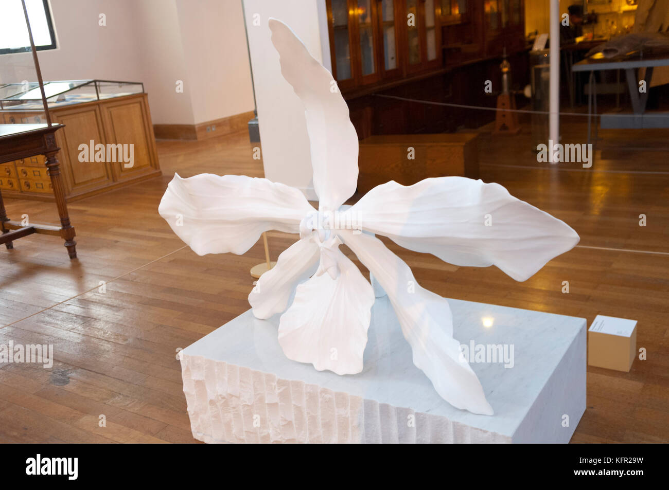 Sculpture by marc hi-res stock photography and images - Alamy