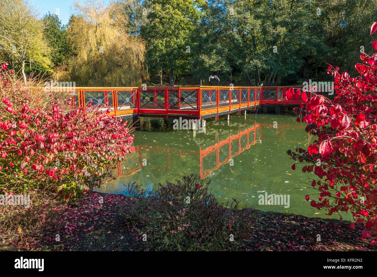 The Cascade Garden Bridge,Leeds Castle,Autumn Colour,Garden,Maidstone ...