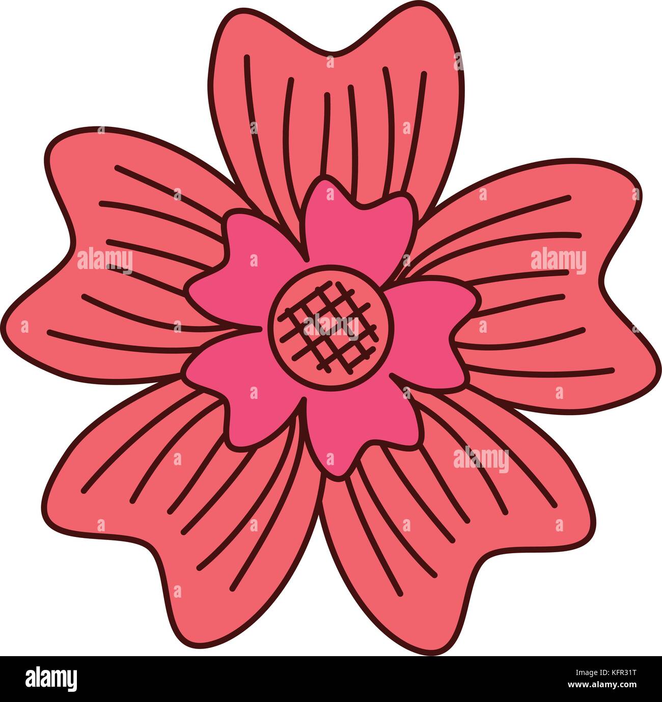 Botanical Illustration Periwinkle High Resolution Stock Photography and ...