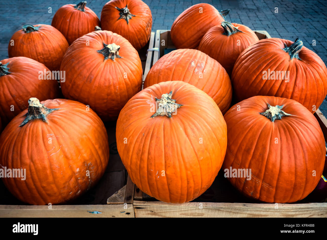 Pumpkin season hi-res stock photography and images - Alamy