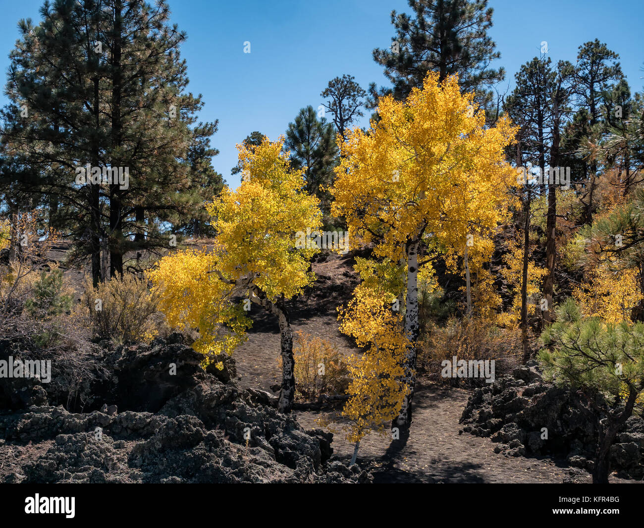 Arizona lava flow hi-res stock photography and images - Alamy