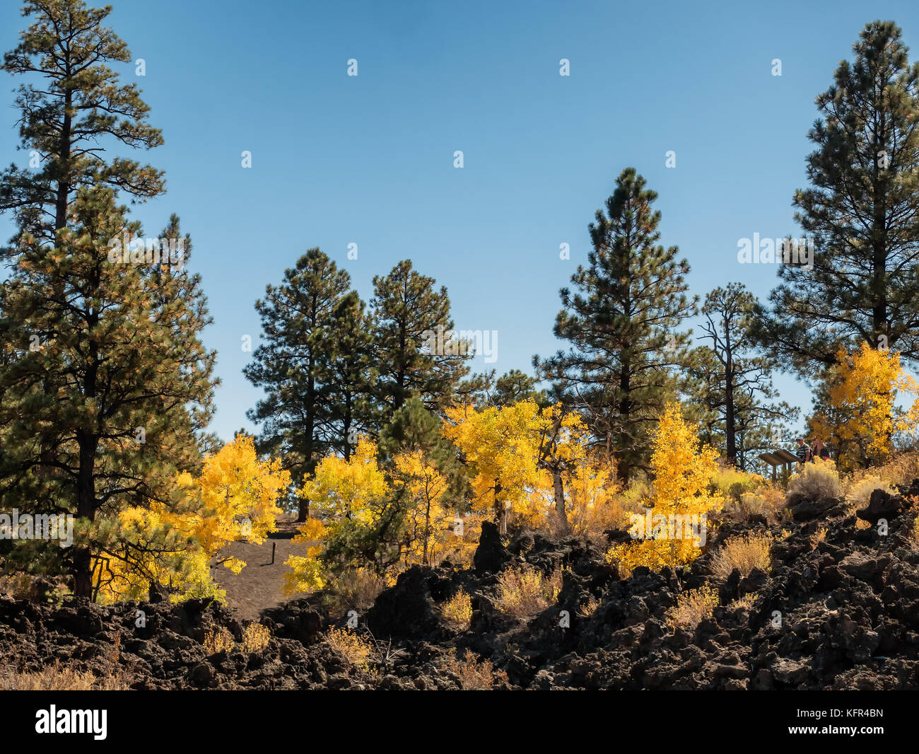 Bonito lava flow hi-res stock photography and images - Alamy